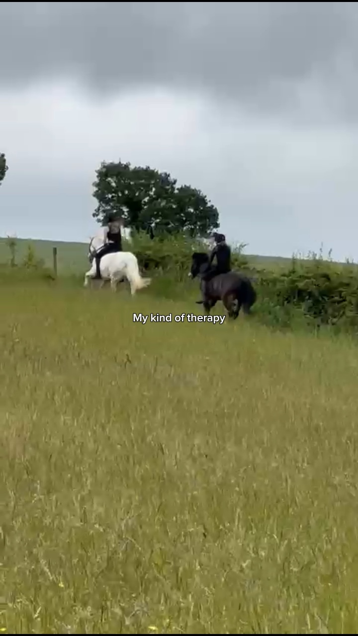 Horse Riding Edits Long Templates - Pippit