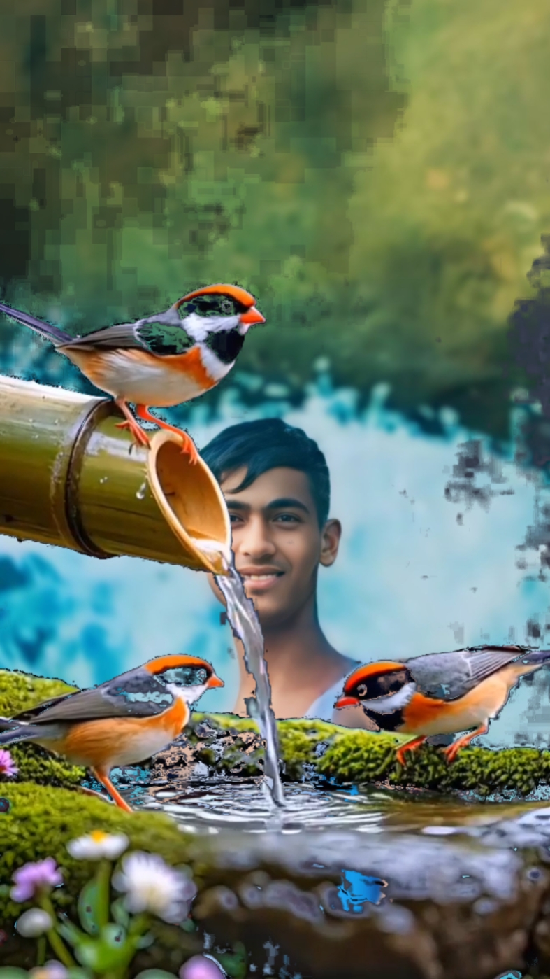 Tiktok Effect - CapCut