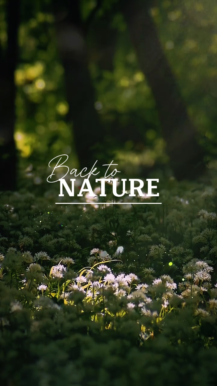 Flowers Cinematic Color Grading - Pippit