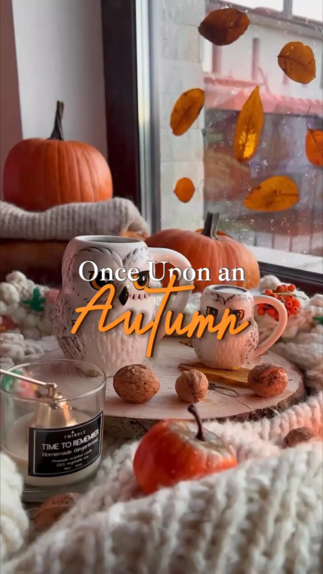 dti fall autumn theme - Pippit