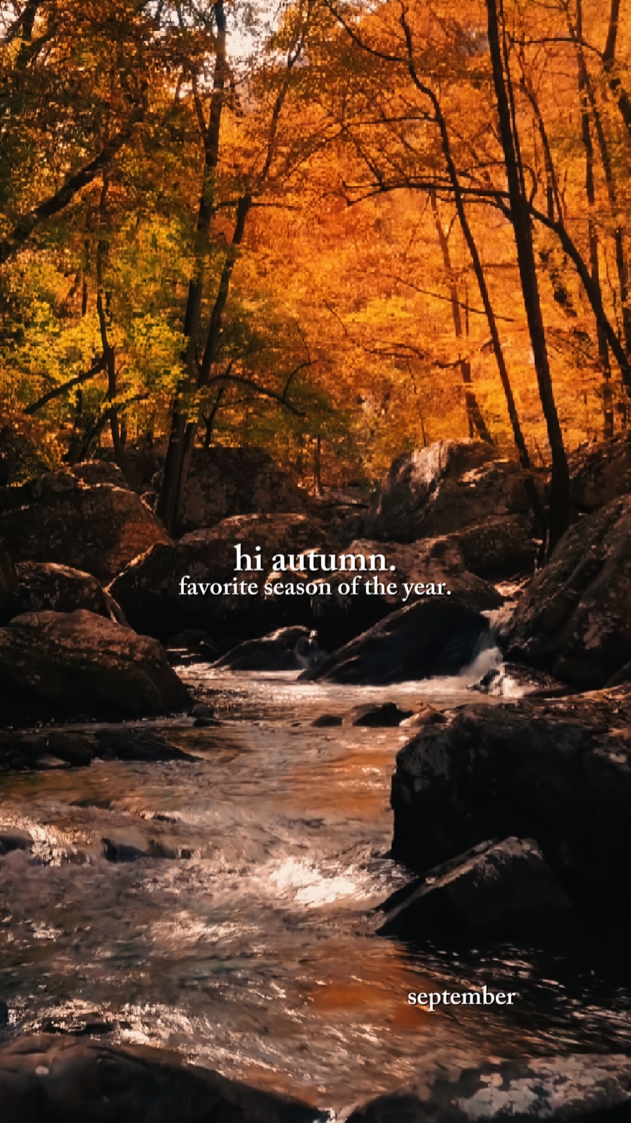 dti fall autumn theme - Pippit