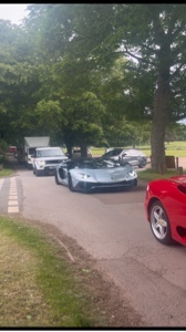 stretched memes - Pippit