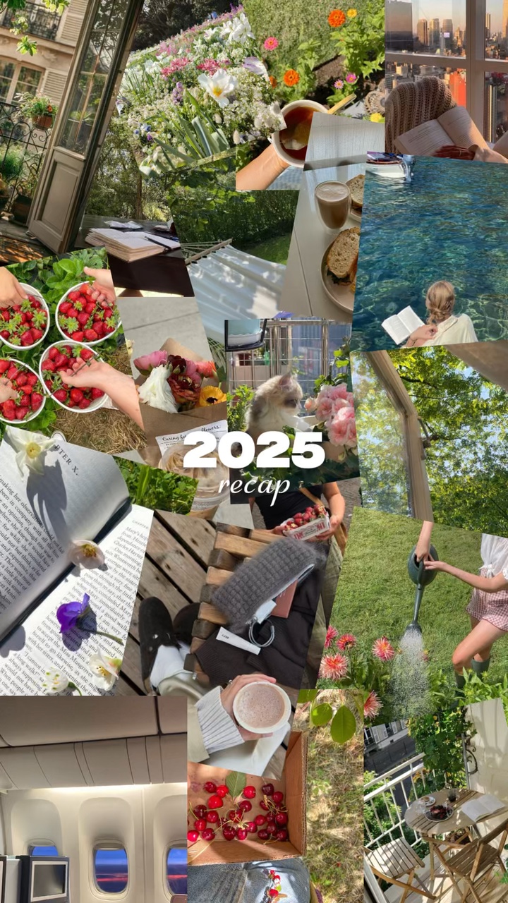 CapCut 2025 Recap - Pippit