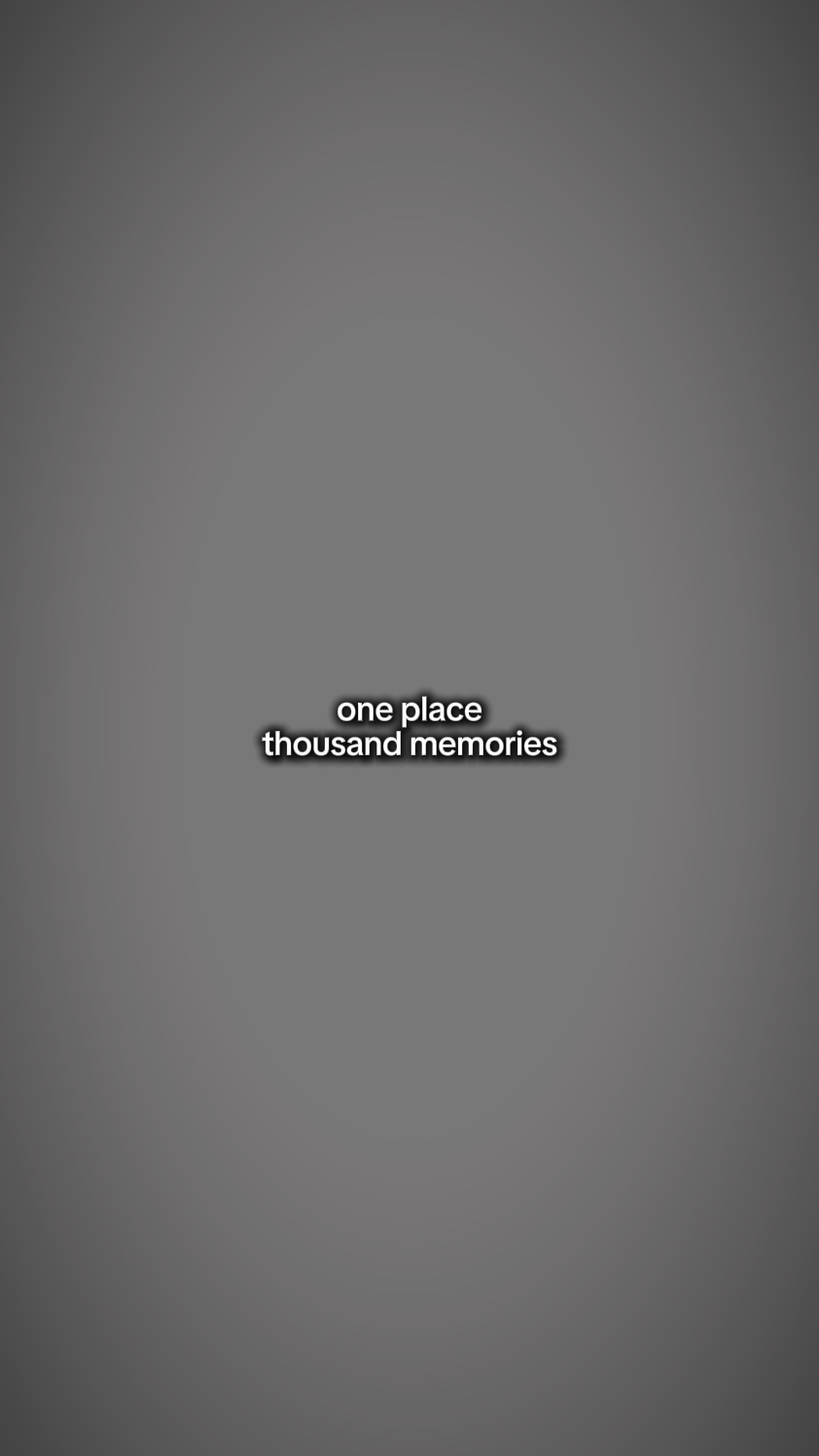 Last Memory Template - Pippit