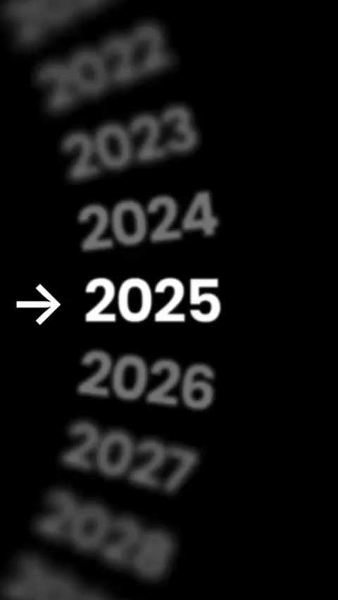 Recap 2024 2025 - Pippit