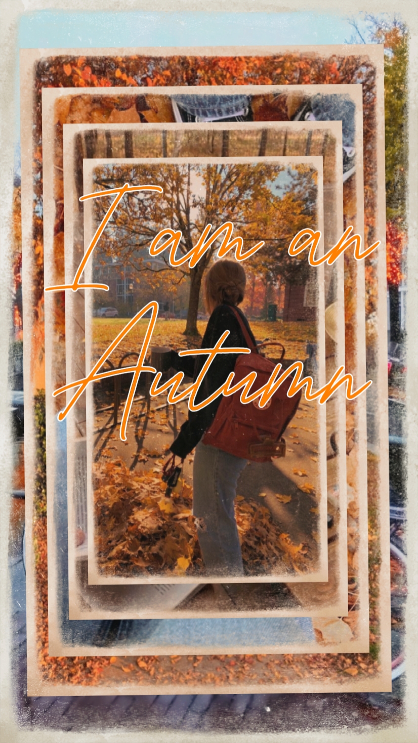 dti fall autumn theme - Pippit