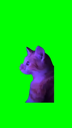 Lonely Memes: Discover the Funniest Lonely Meme Collection