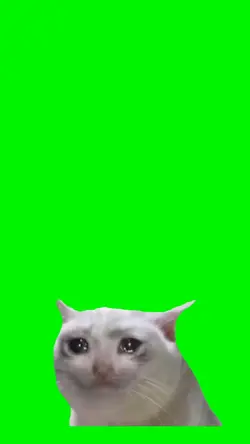 Cat Crying Meme: Discover the Best Viral Images Online