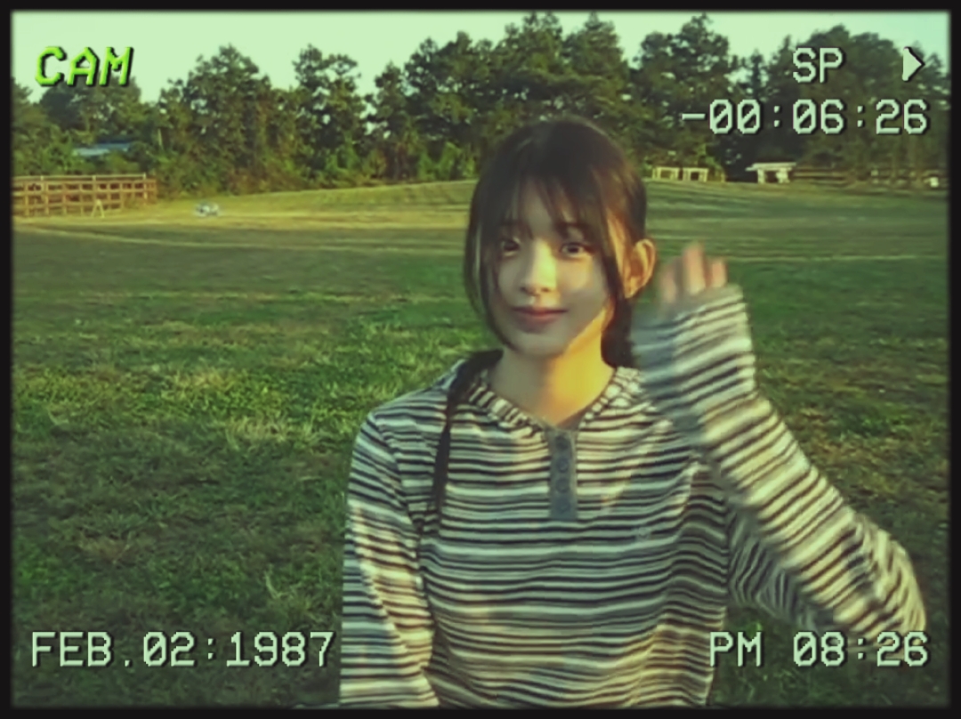 Film Camera Template Video - Pippit