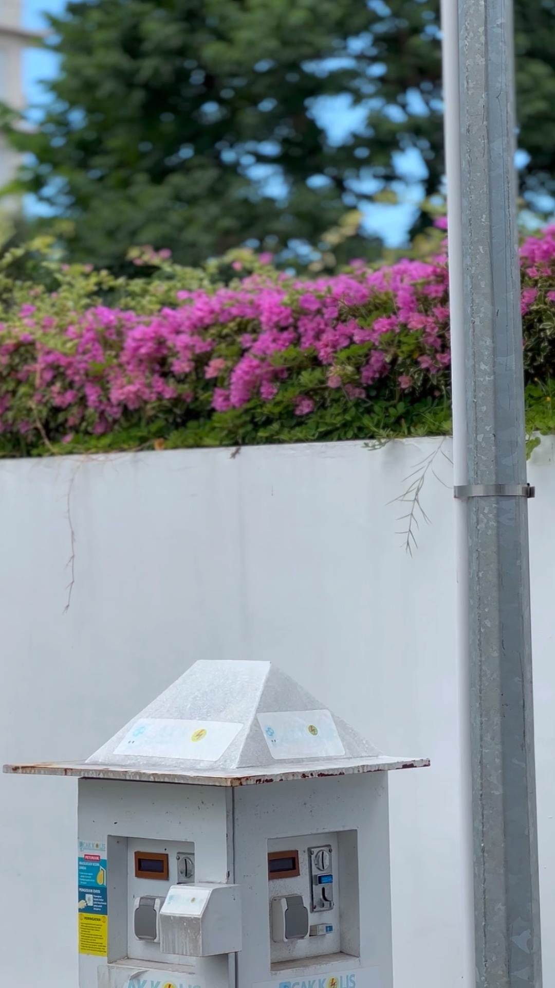 Aesthetic Templates 5 Clip Traditional - Pippit