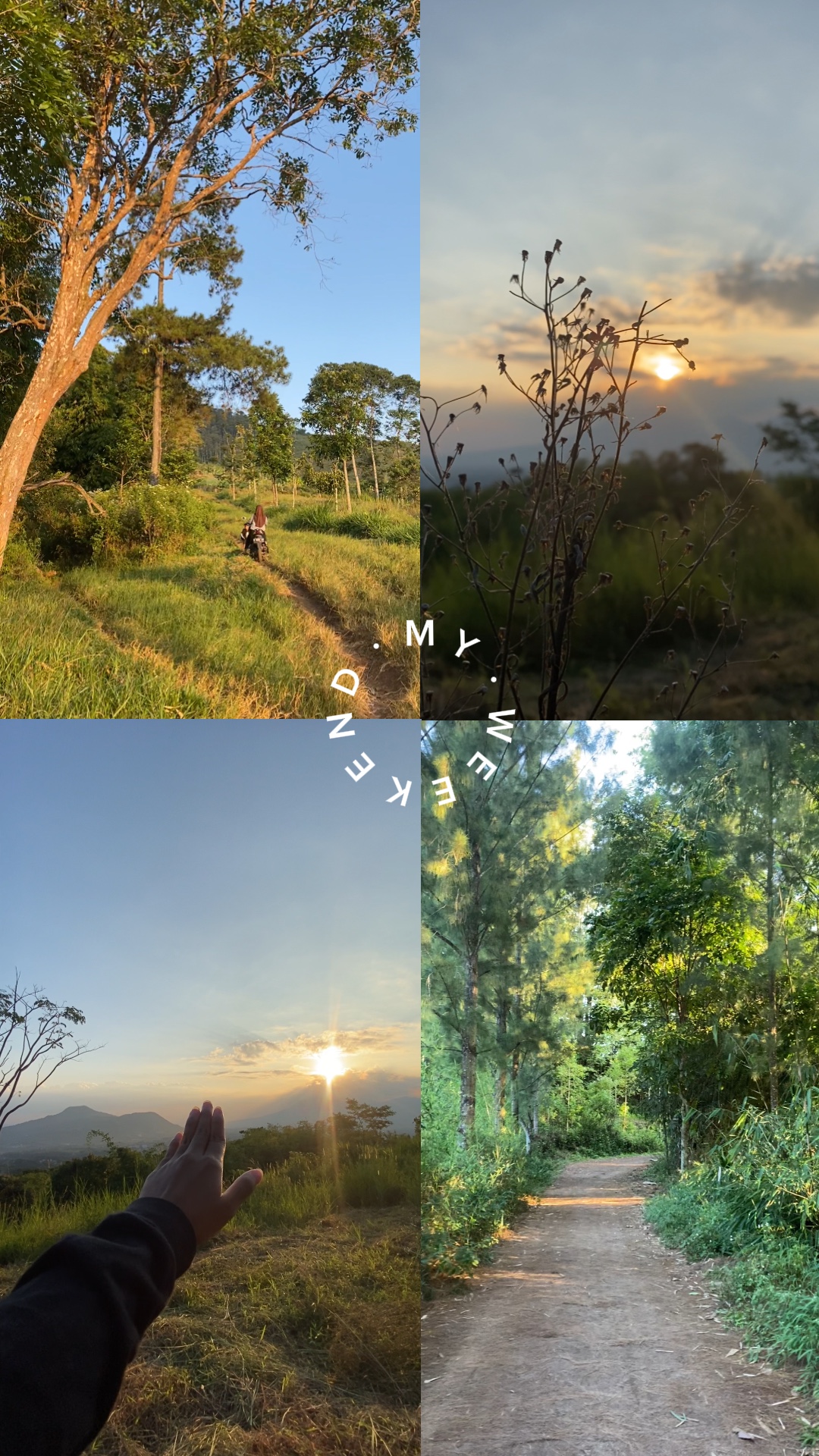 Free Template 4 Split - Pippit