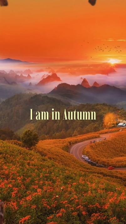 dti fall autumn theme - Pippit