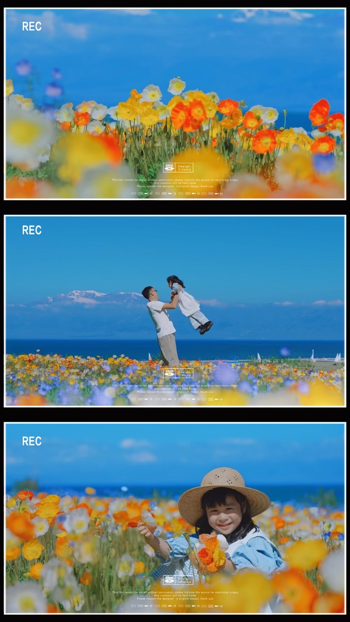3 Short Video Clips Templates for Kids - Pippit