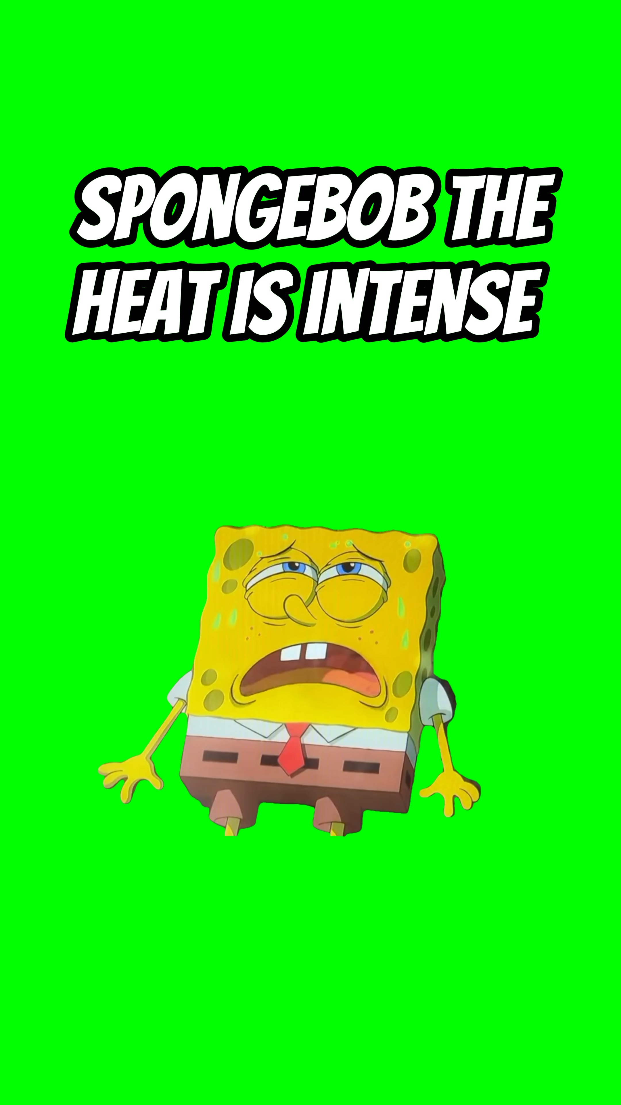 SpongeBob heat inten - video template by CapCut