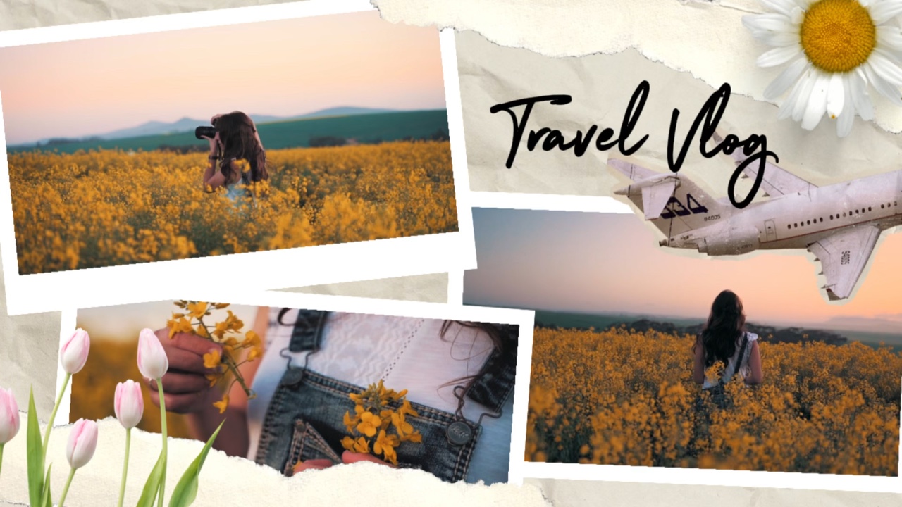 Intro Vlog Templates - Pippit