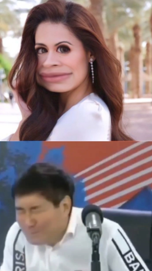 tulfo meme - video template by CapCut