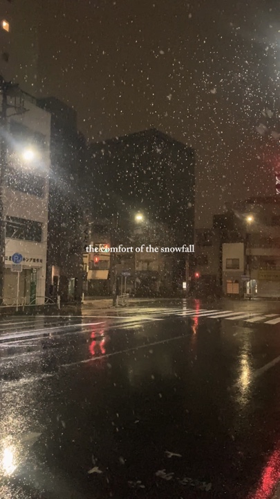 Fake Snow Falling - Pippit