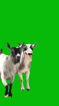 Goat Memes – Discover Hilarious Goat Memes Online Now