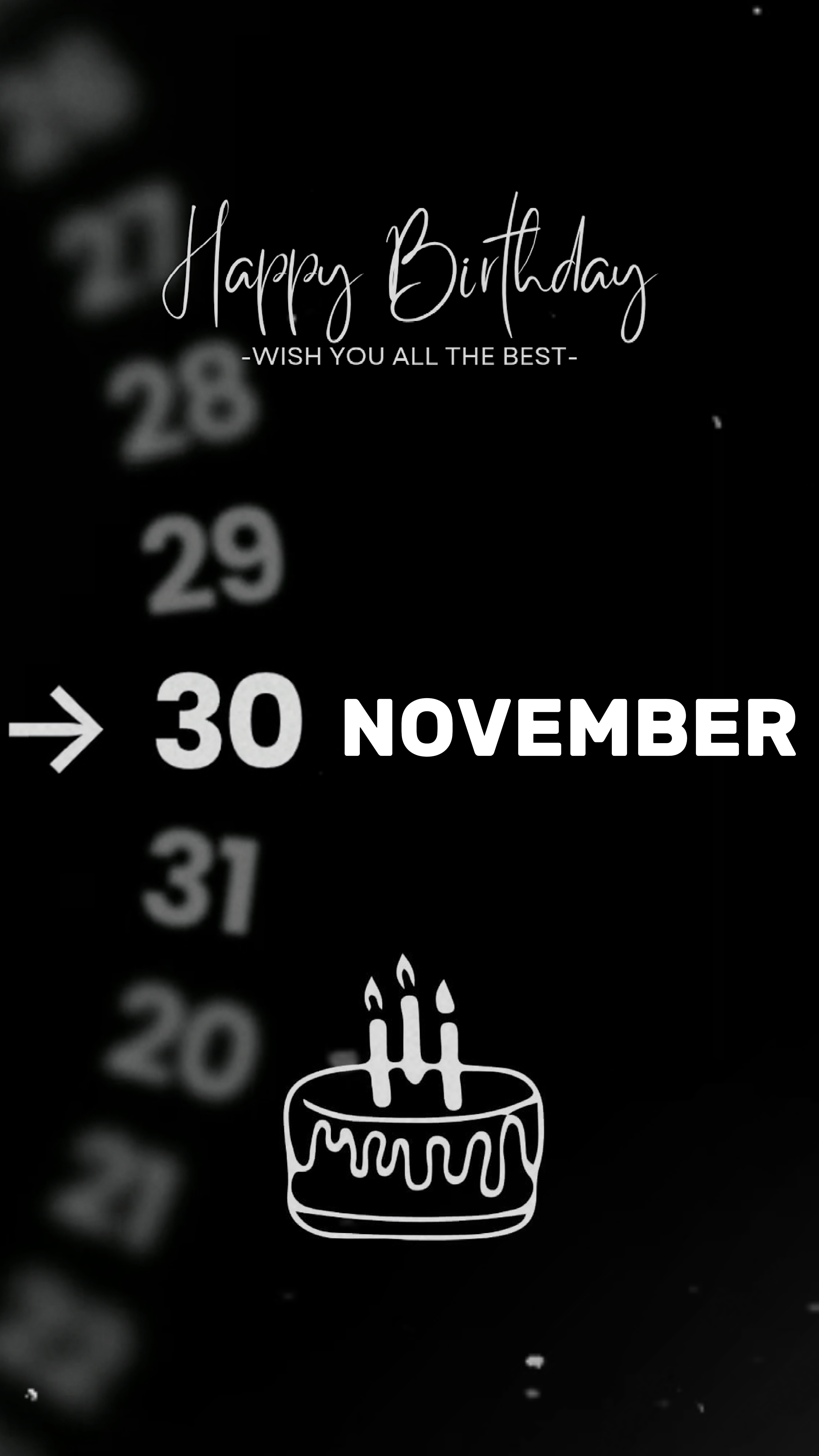 Birthday 28 November - Pippit