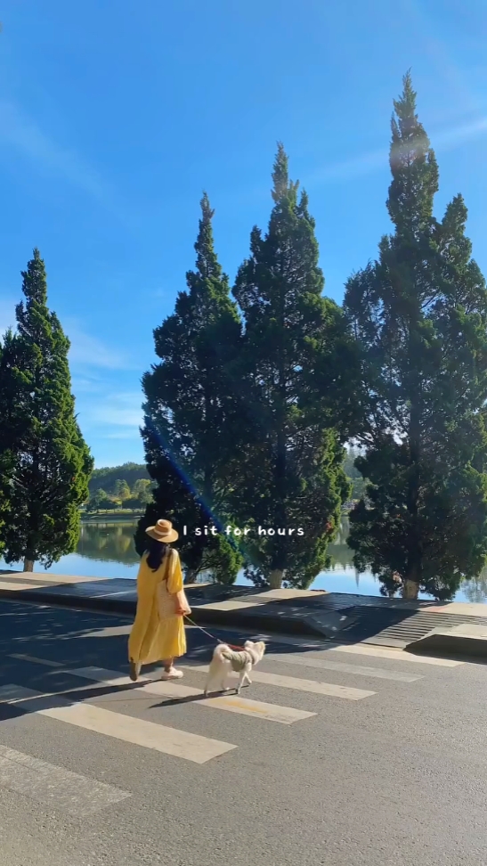 Pretty Little Baby Song Videos Templates - Pippit