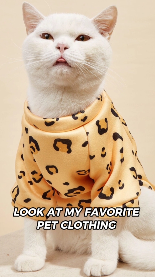 All Template CapCut Here - Pippit