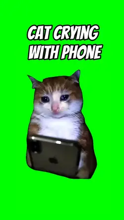 Sad Cat Meme: Discover the Funniest Memes & Images Online