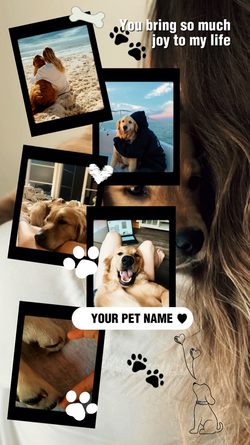 Autumn Dog Photos Template - Pippit