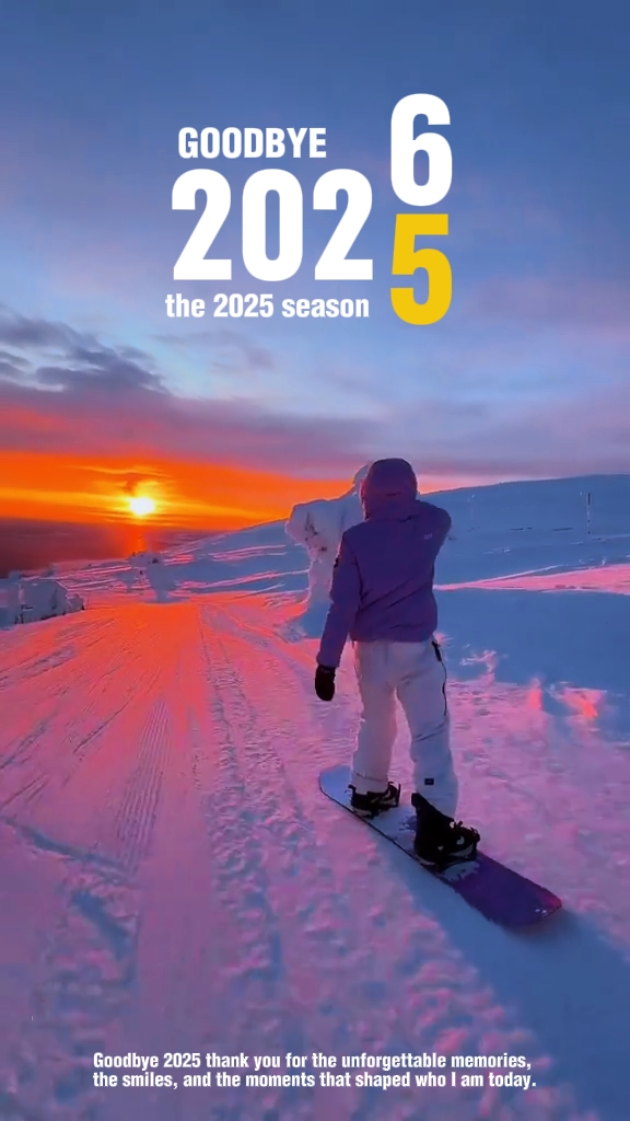 Goodbye 2025 Templates - Pippit