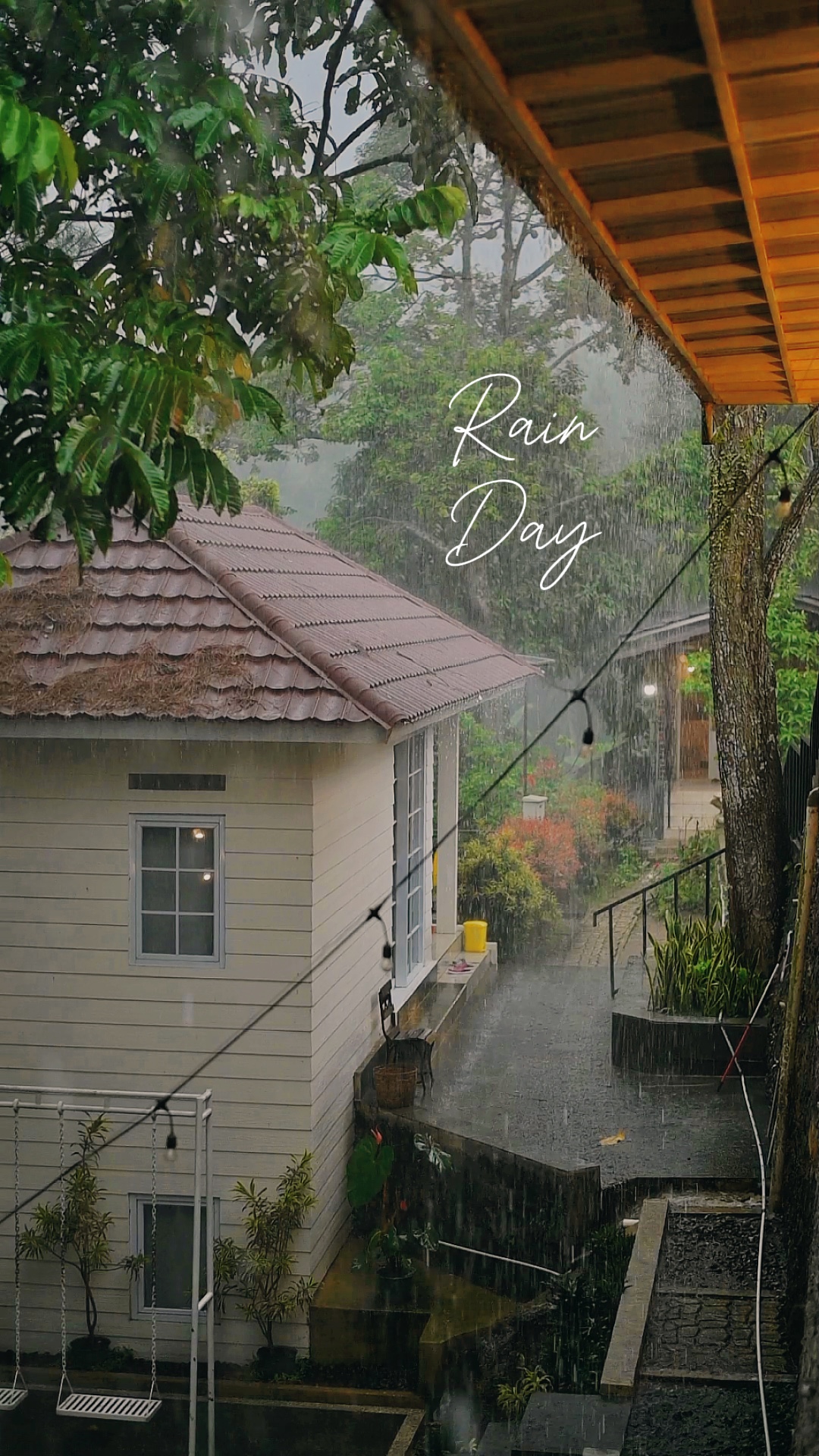 Rain Color Grading Template - Pippit