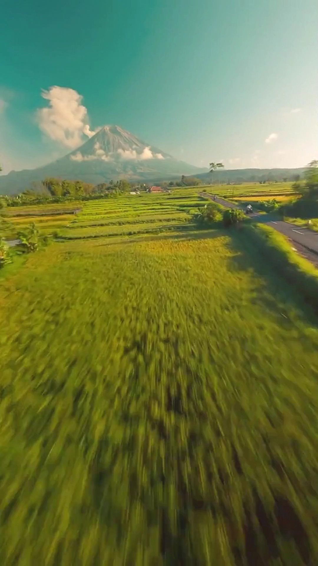 7 Templates Cinema Movie - Pippit