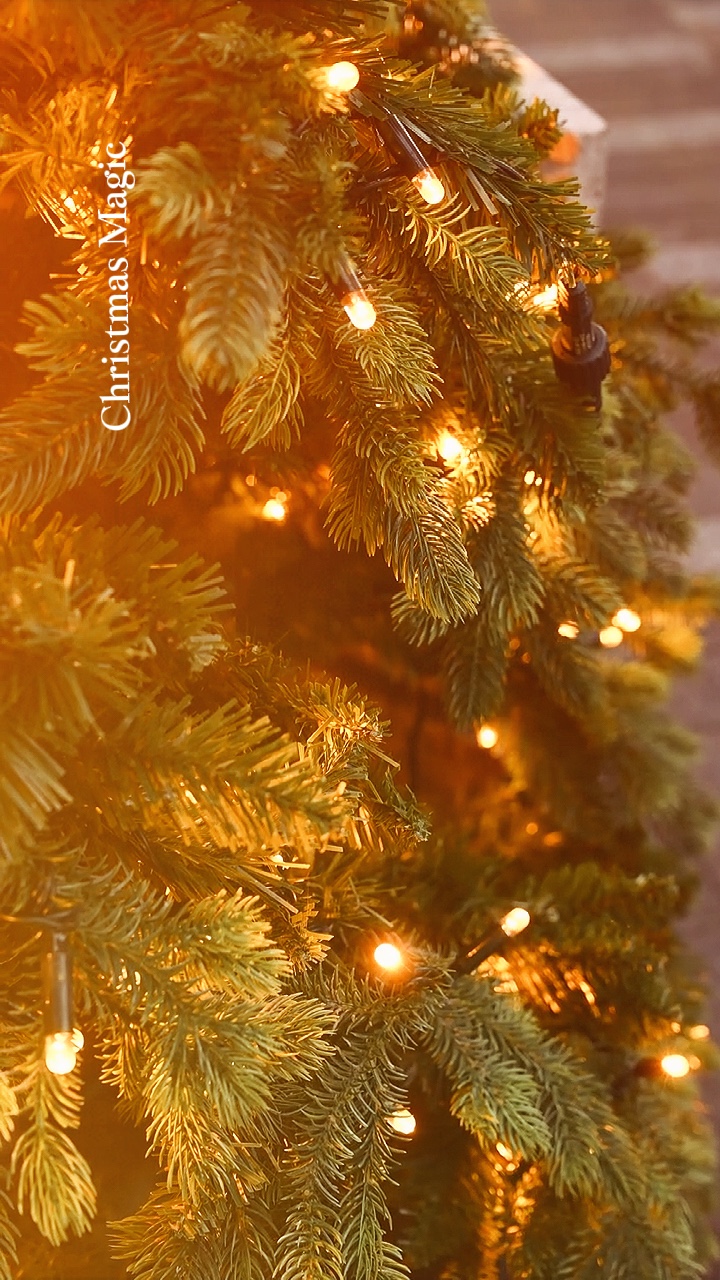 67 Marry Christmas - Pippit