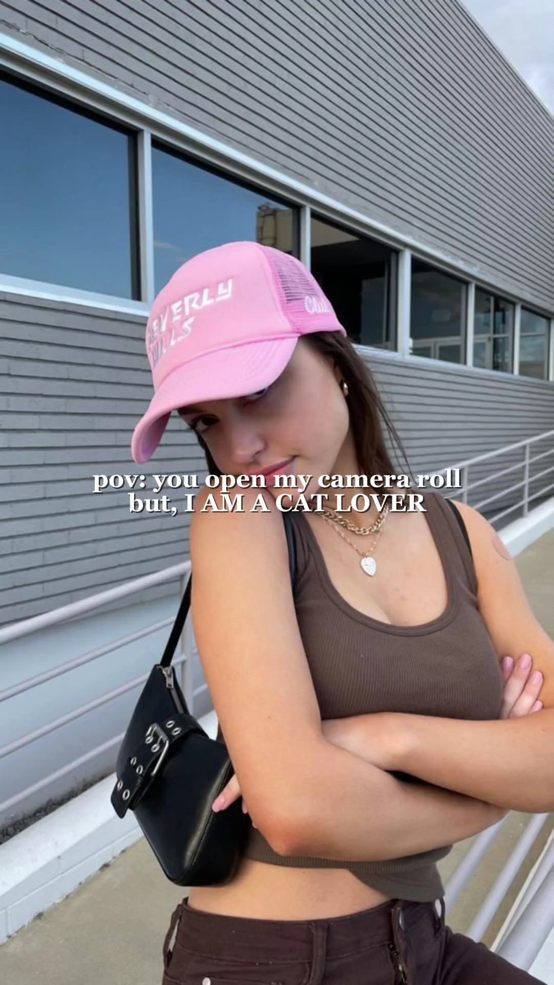 Cat Pictures Edit for Wallpaper - Pippit