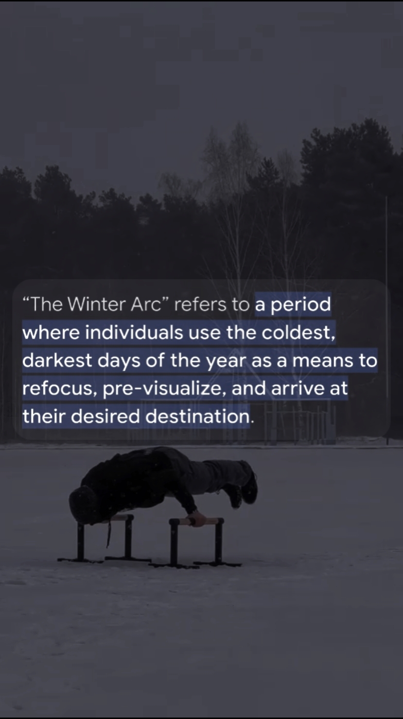 Hard Work Consistency Winter Arc - Pippit