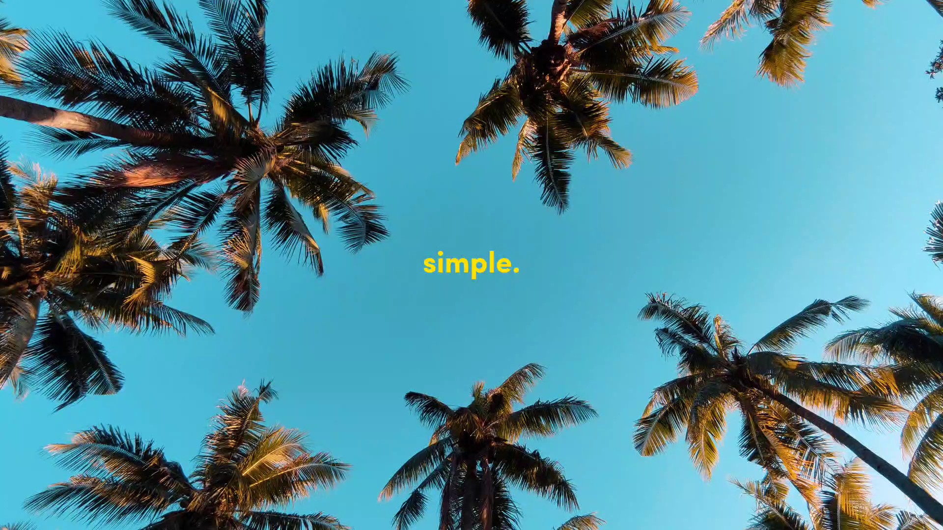 Ting Ting Ting Sound Effect - Pippit