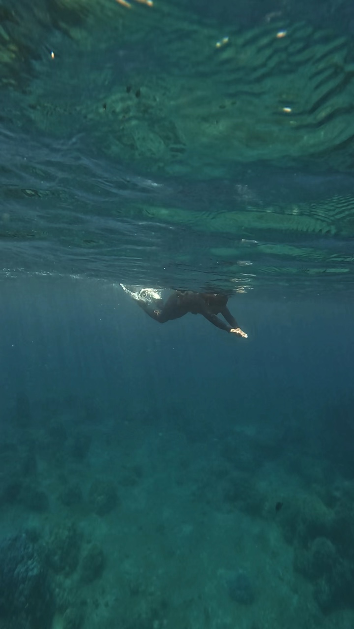 Freedive Template New Music - Pippit