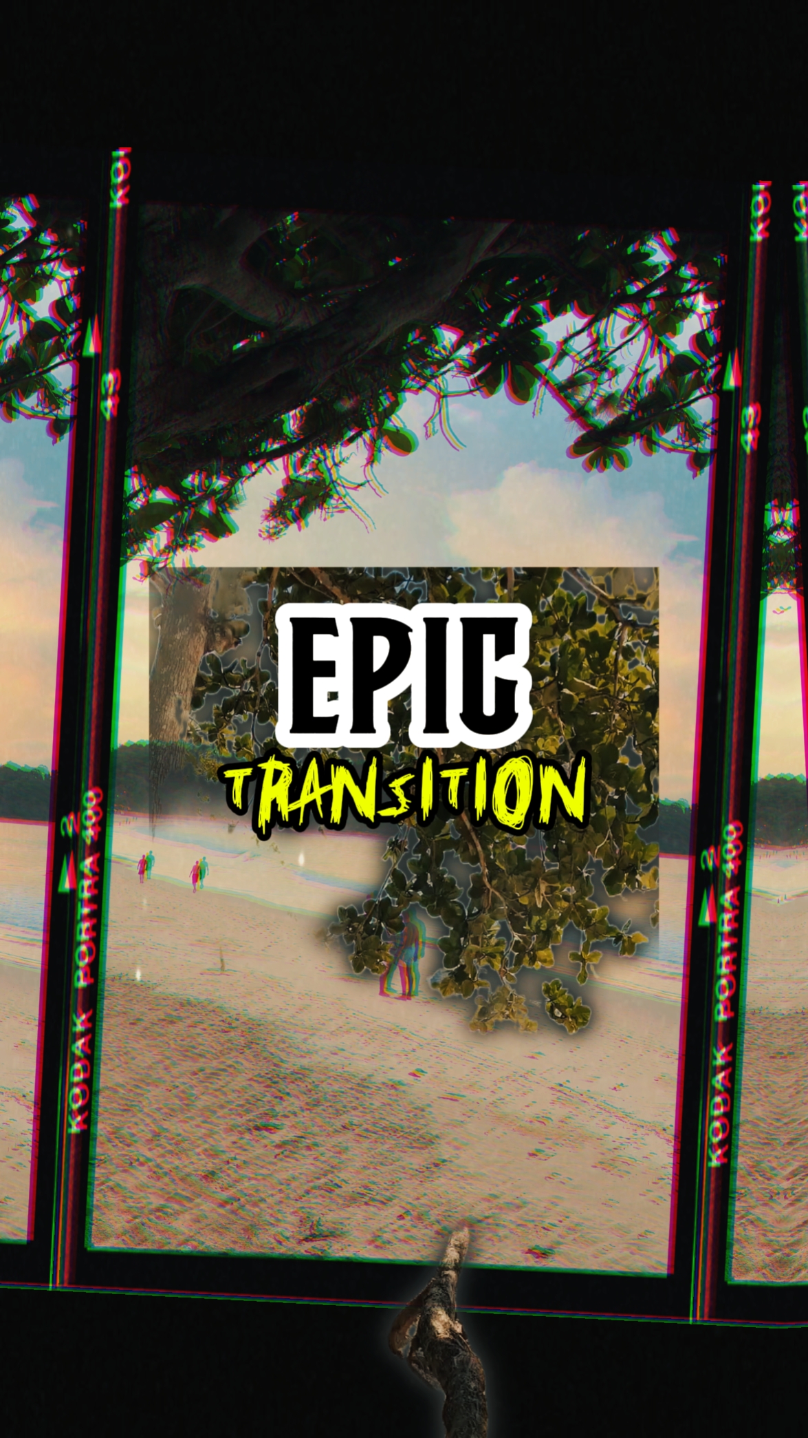 I Transition Templates - Pippit