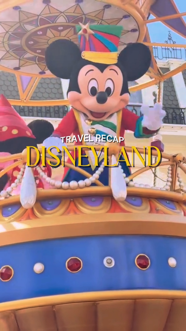 Recap Disney Travel - Pippit