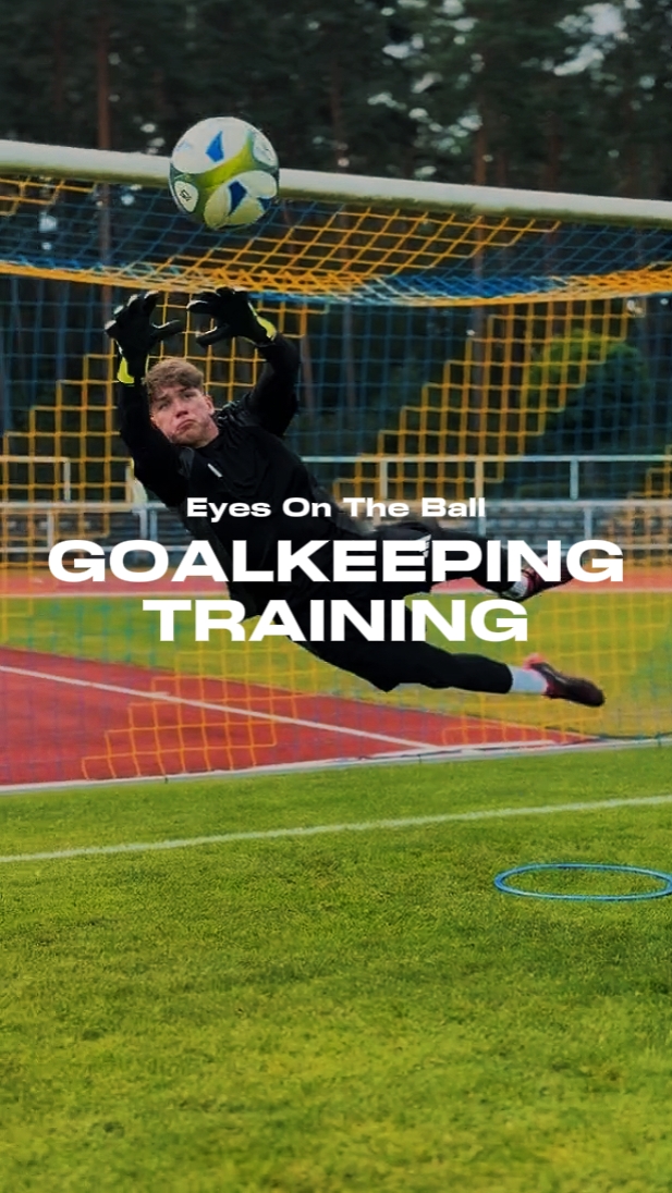 Goalkeeping Template - Pippit