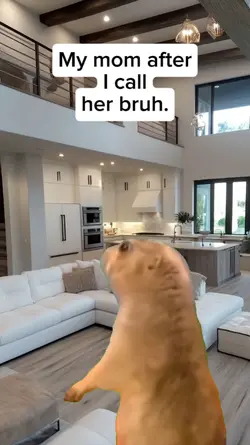Mommy Sorry Meme: Discover Trending Memes Online Now