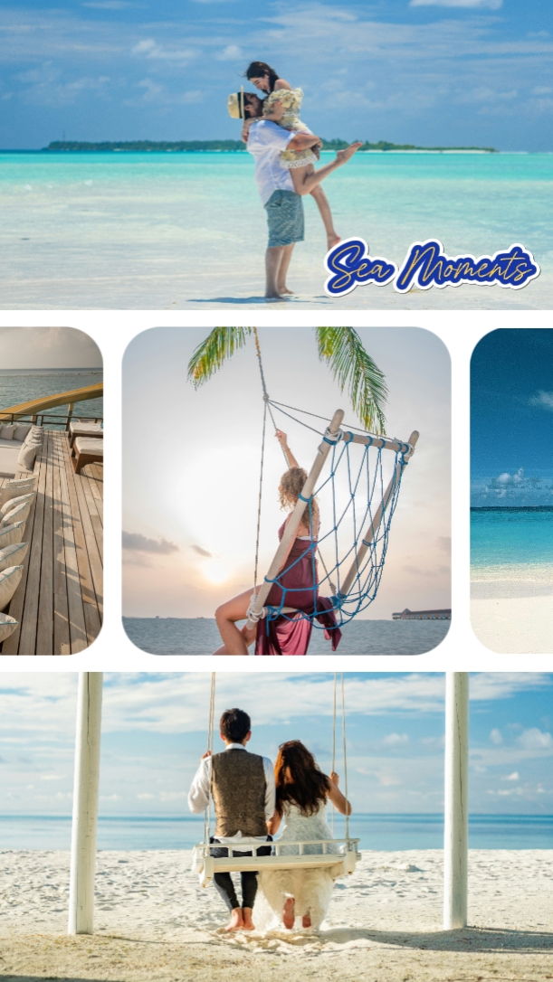 12 Format Template - Pippit