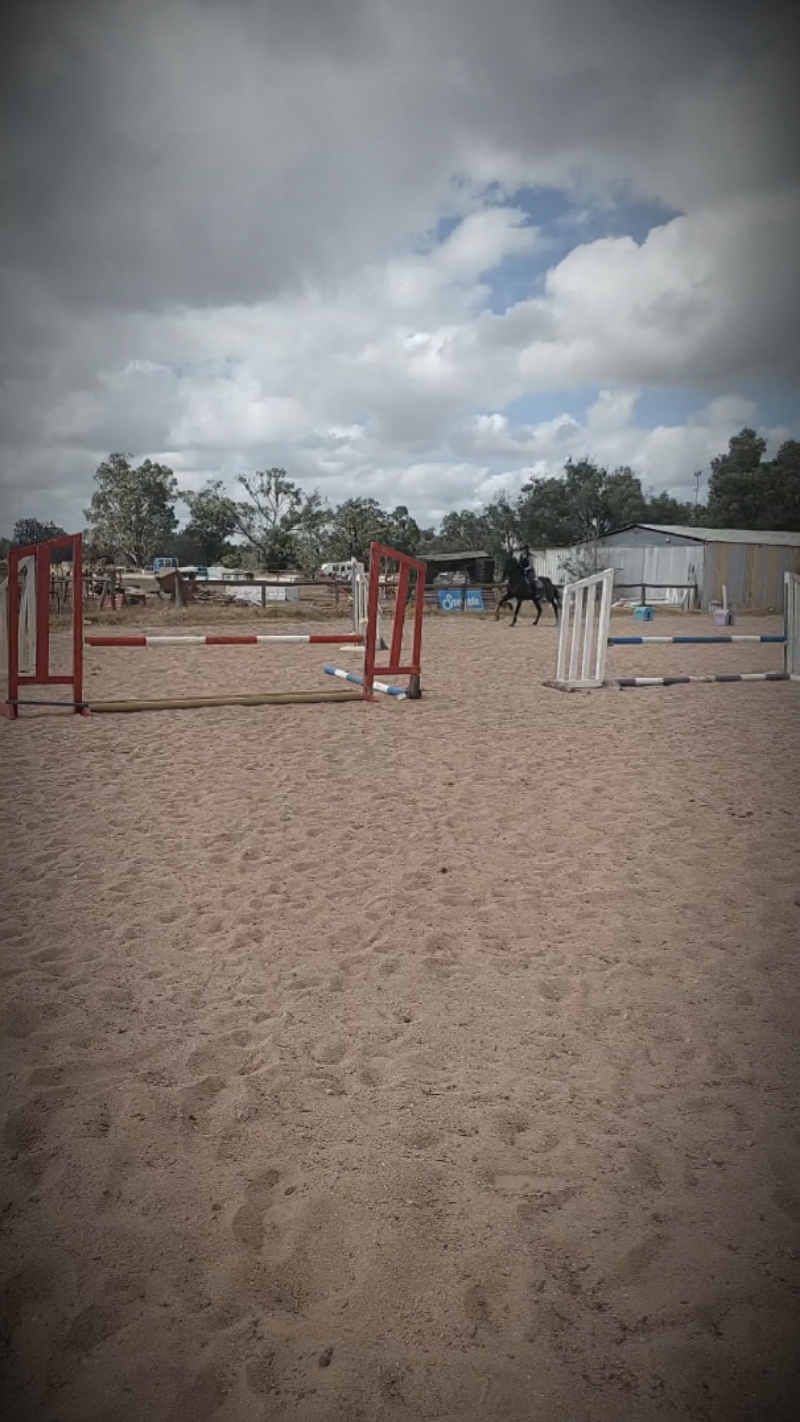 All Template CapCut 4Clips Blur Effects - Pippit