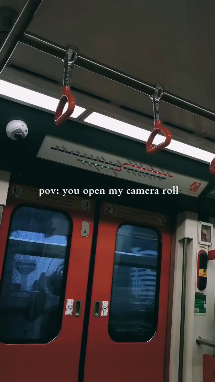 Intro Roll Pictures - Pippit