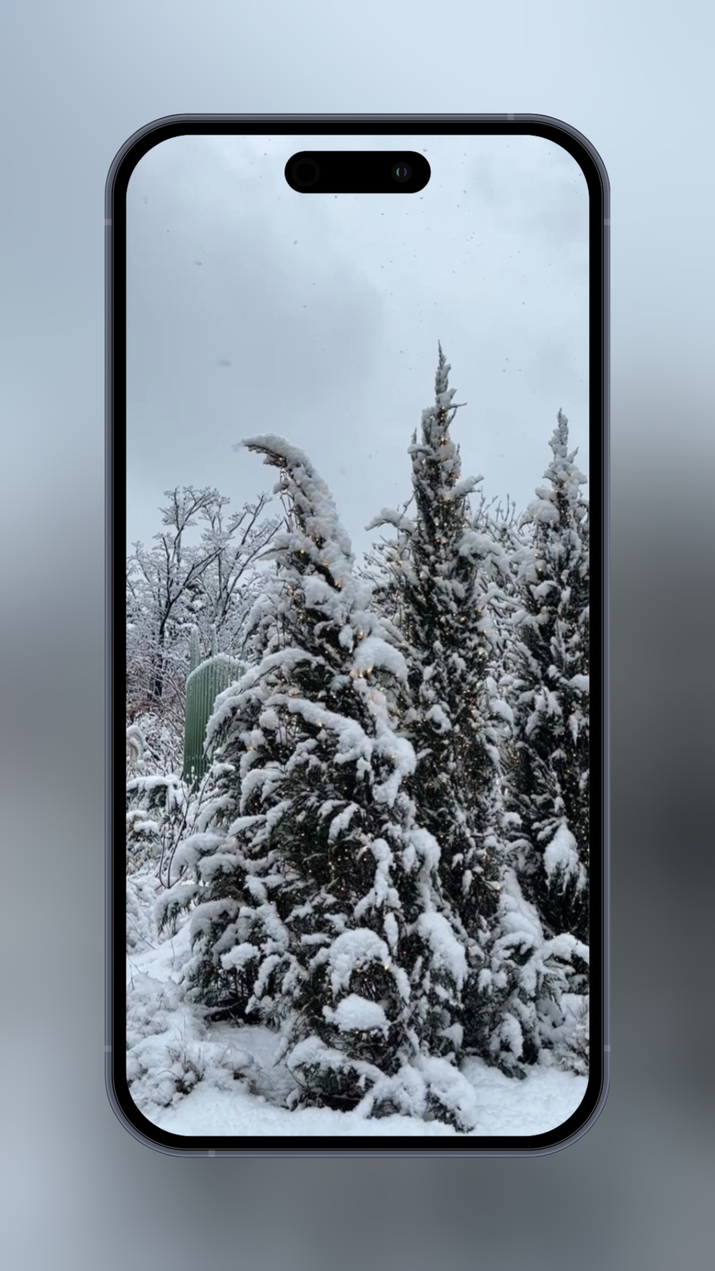Video Call Interface Screen Template - Pippit