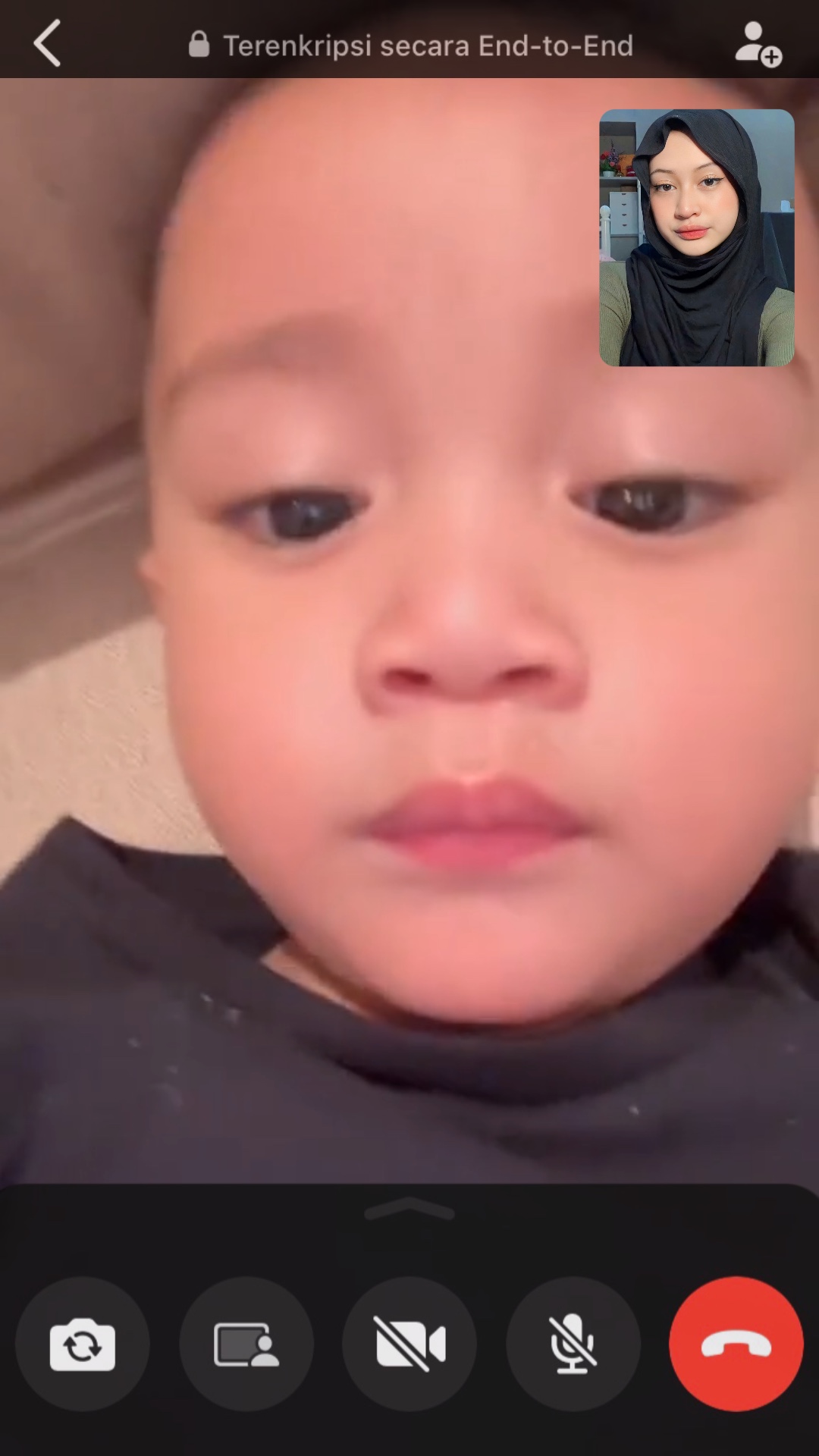 WhatsApp Video Call Templates - Pippit