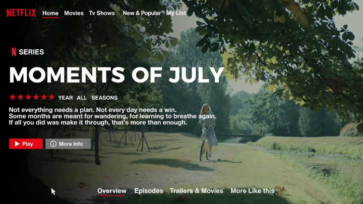 Video Presentation Netflix Vibes - Pippit