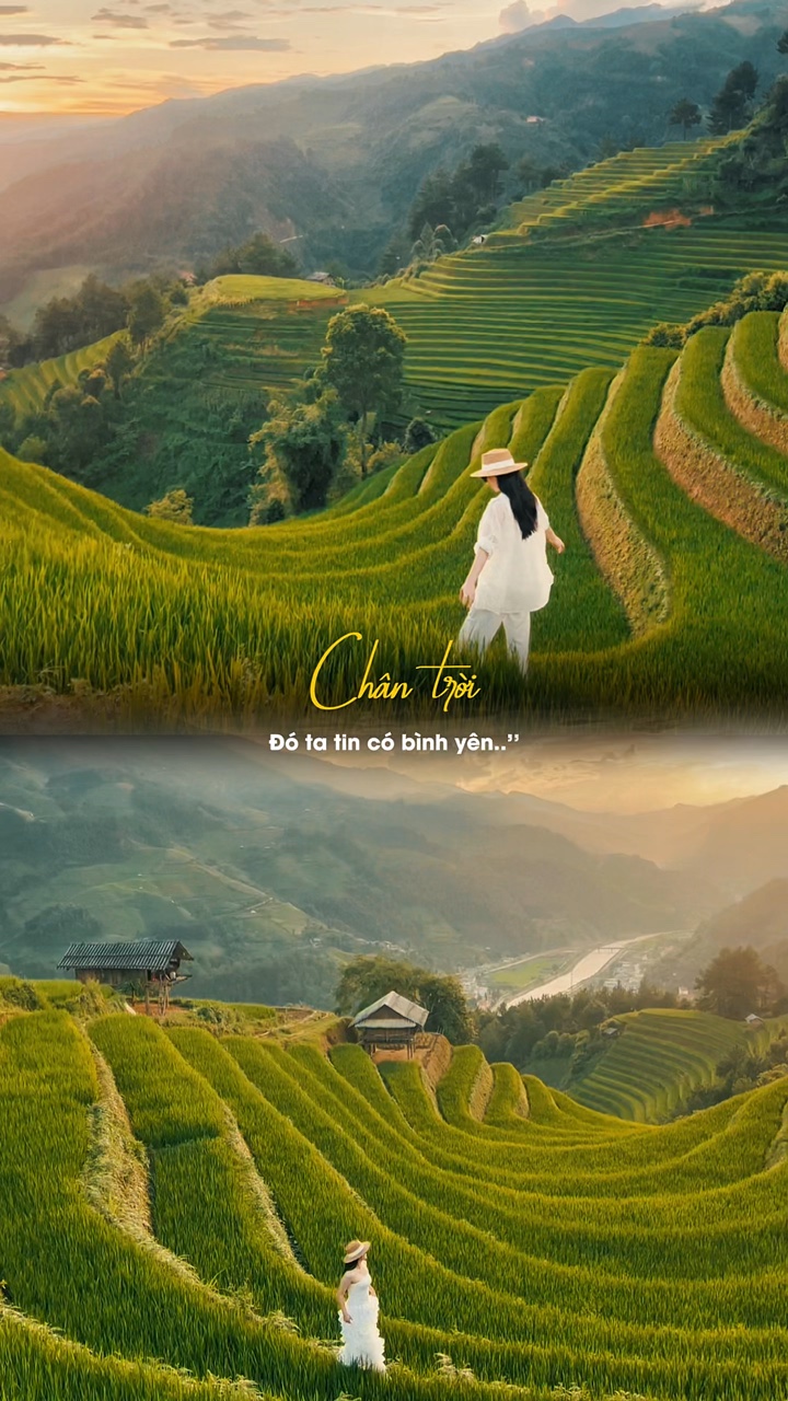 Word Line Template - Pippit