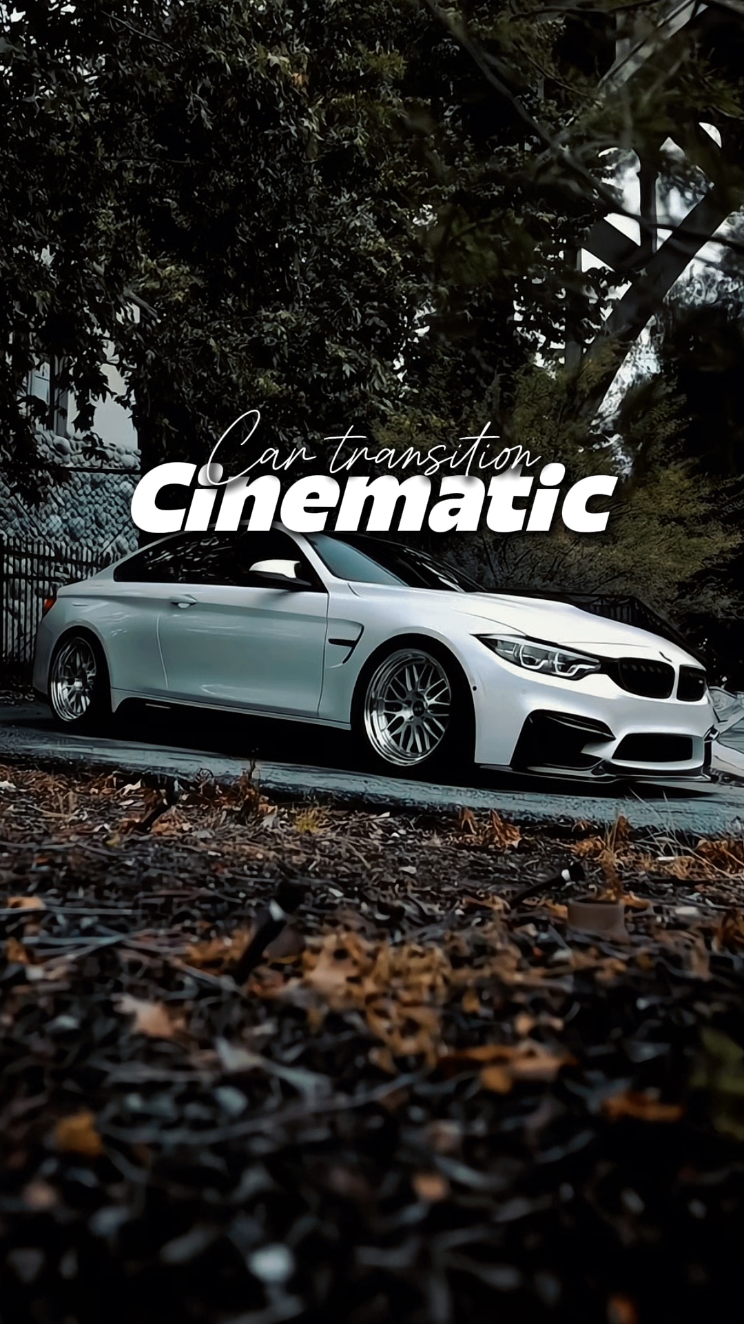 CapCut New Cinematic Template - Pippit