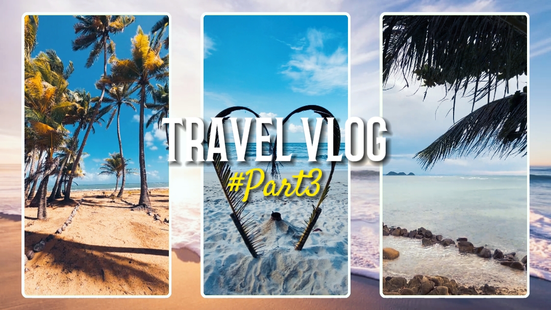 Intro for Nature or Ocean - Pippit