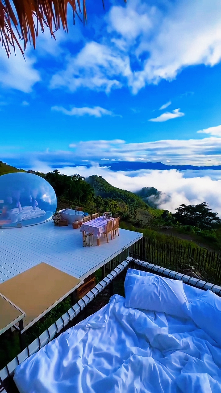 Reverse Speed All Template - Pippit