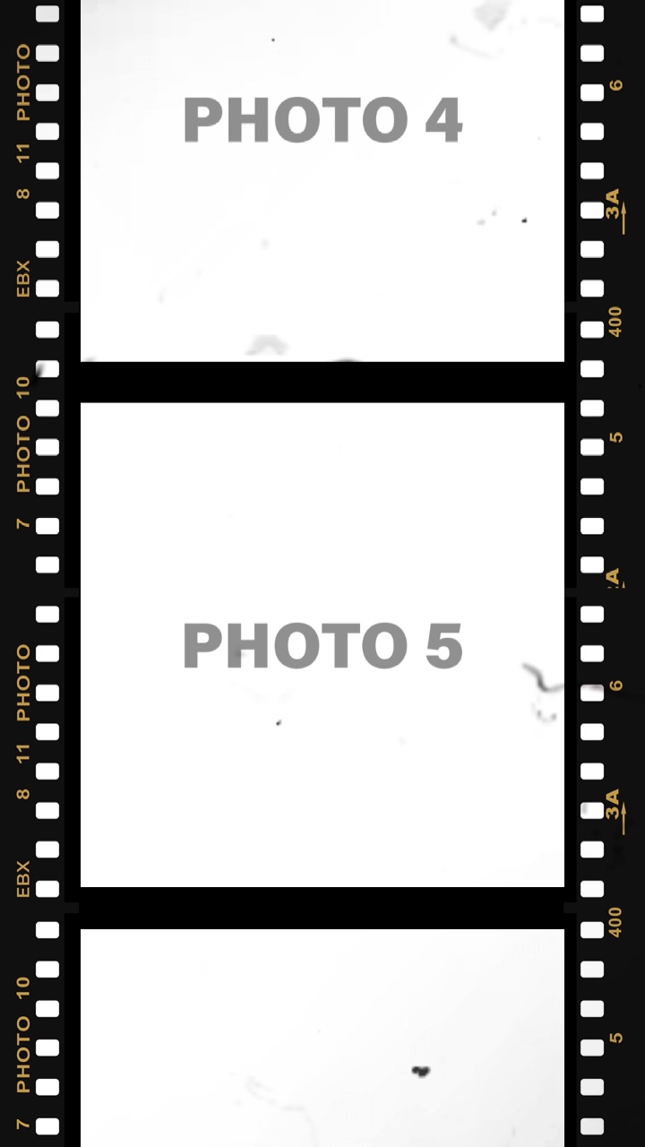 template capcut frame - Pippit